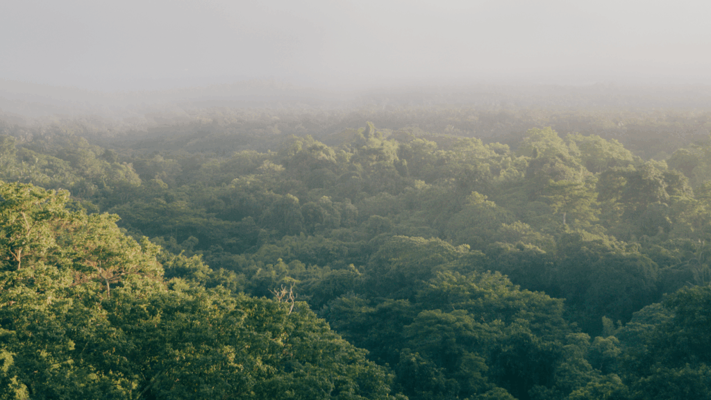 CleanArc Data Centers Adds 300MW to Planned Capacity for Virginia ...